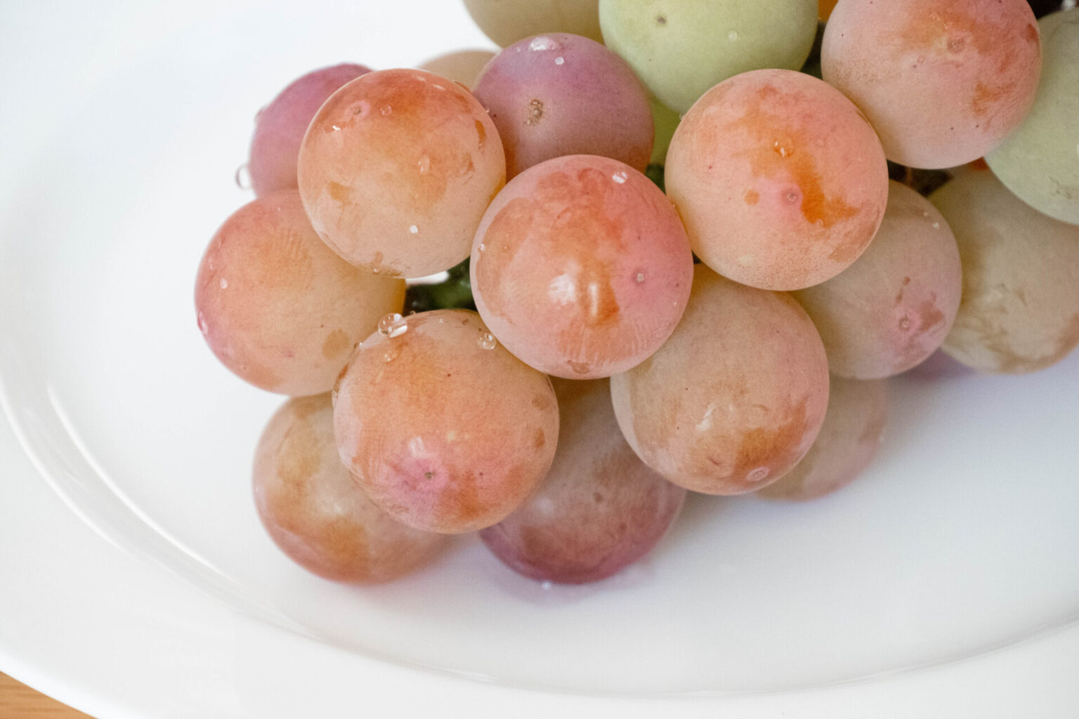 2024年の開園に向けて写真撮り | 【公式】戸塚ぶどう園